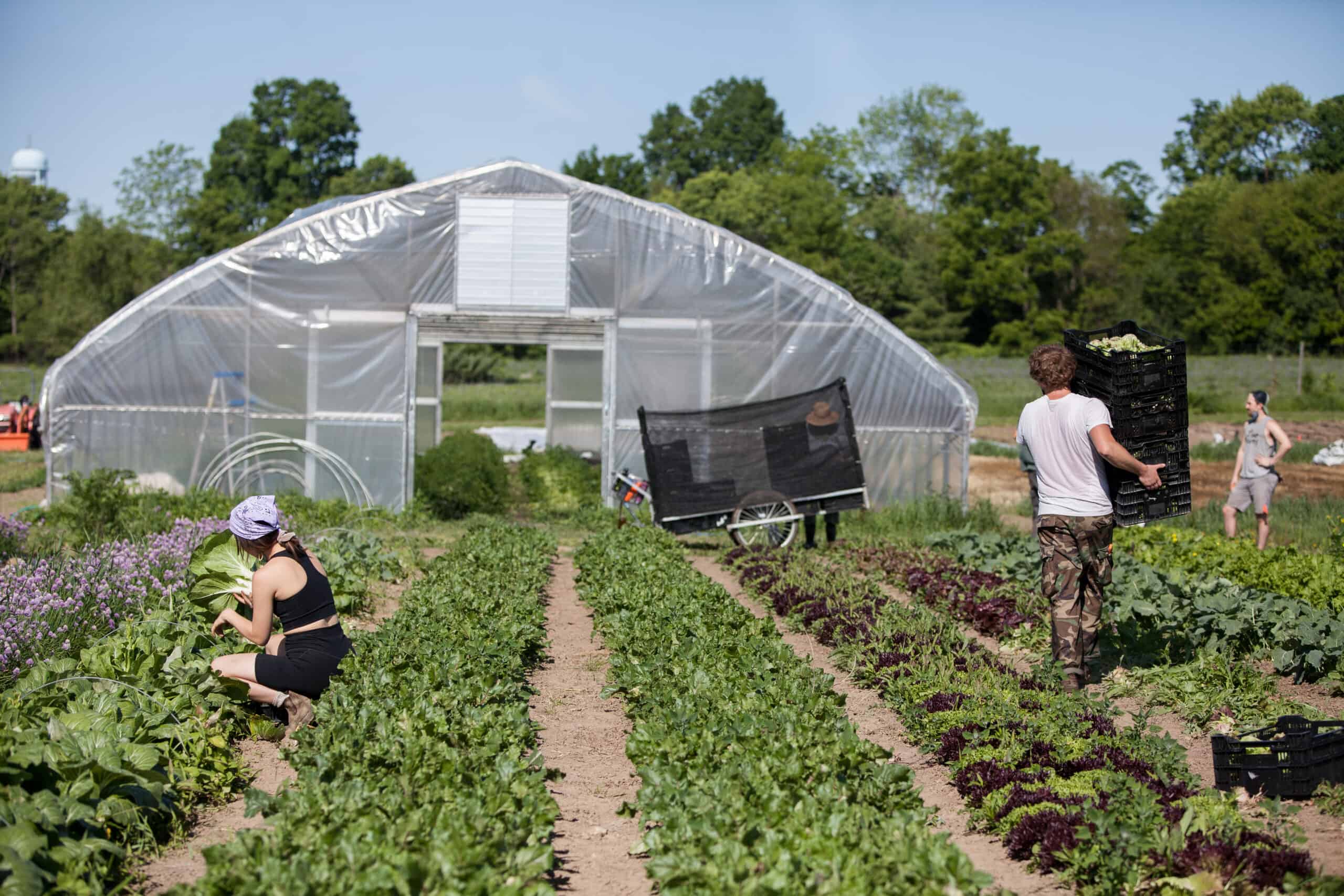 Work with Us - Rooted